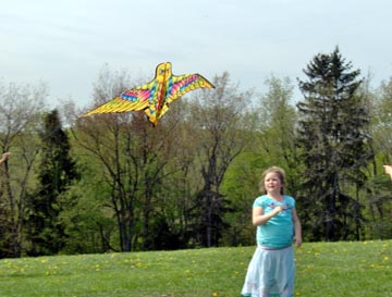 Detroit Edison Offers Kite Flying Safety Tips